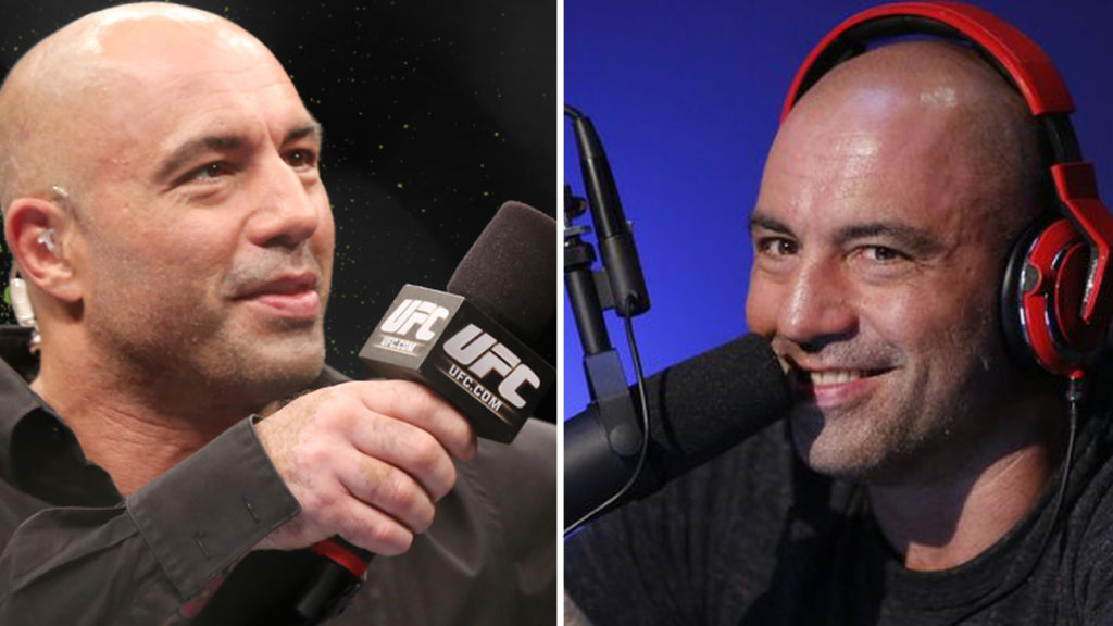 Joe Rogan - From UFC Announcer To Psychedelic Commentary Superstar ...