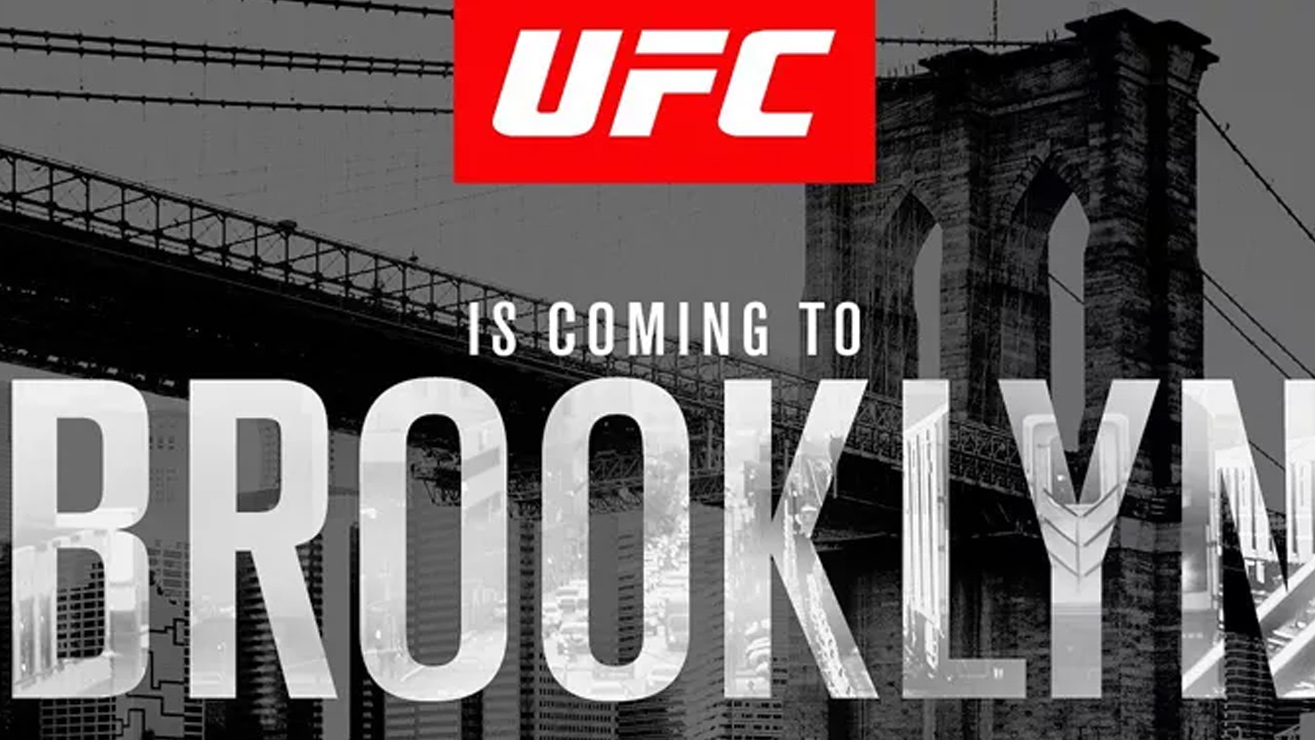 Another Great Rematch Is Slated For UFC 223 In Brooklyn | MiddleEasy