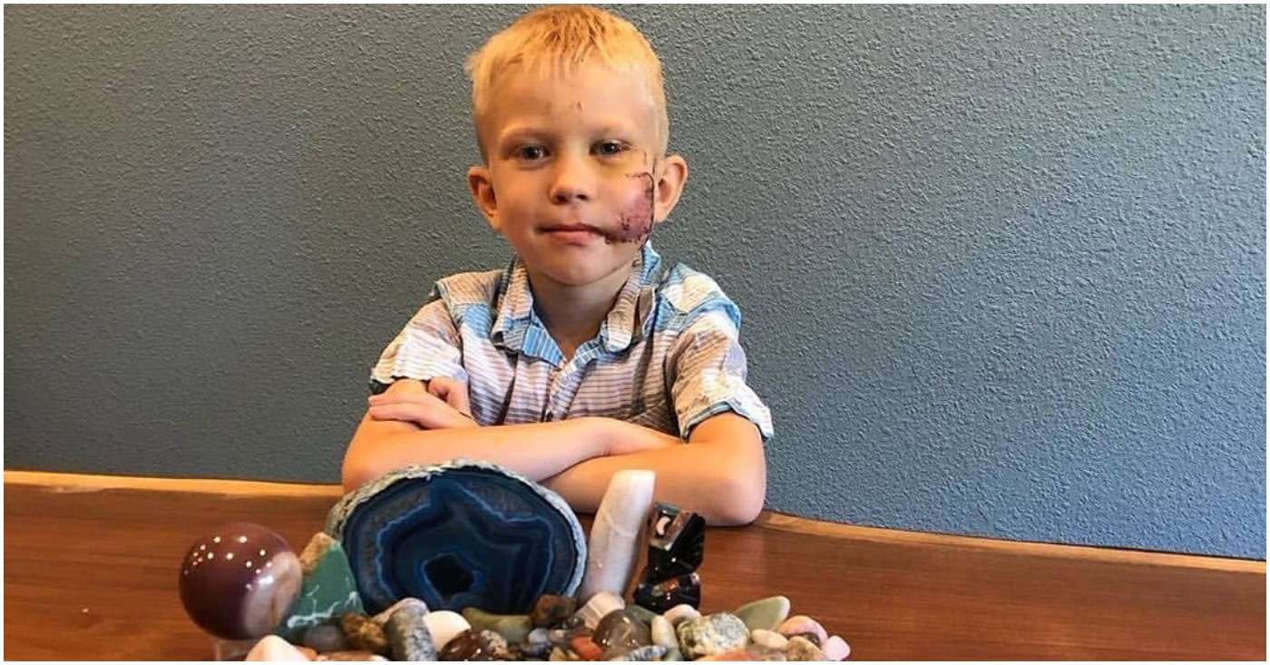 6 Year Old BJJ Player Bridger Walker Saves Younger Sister from Vicious ...