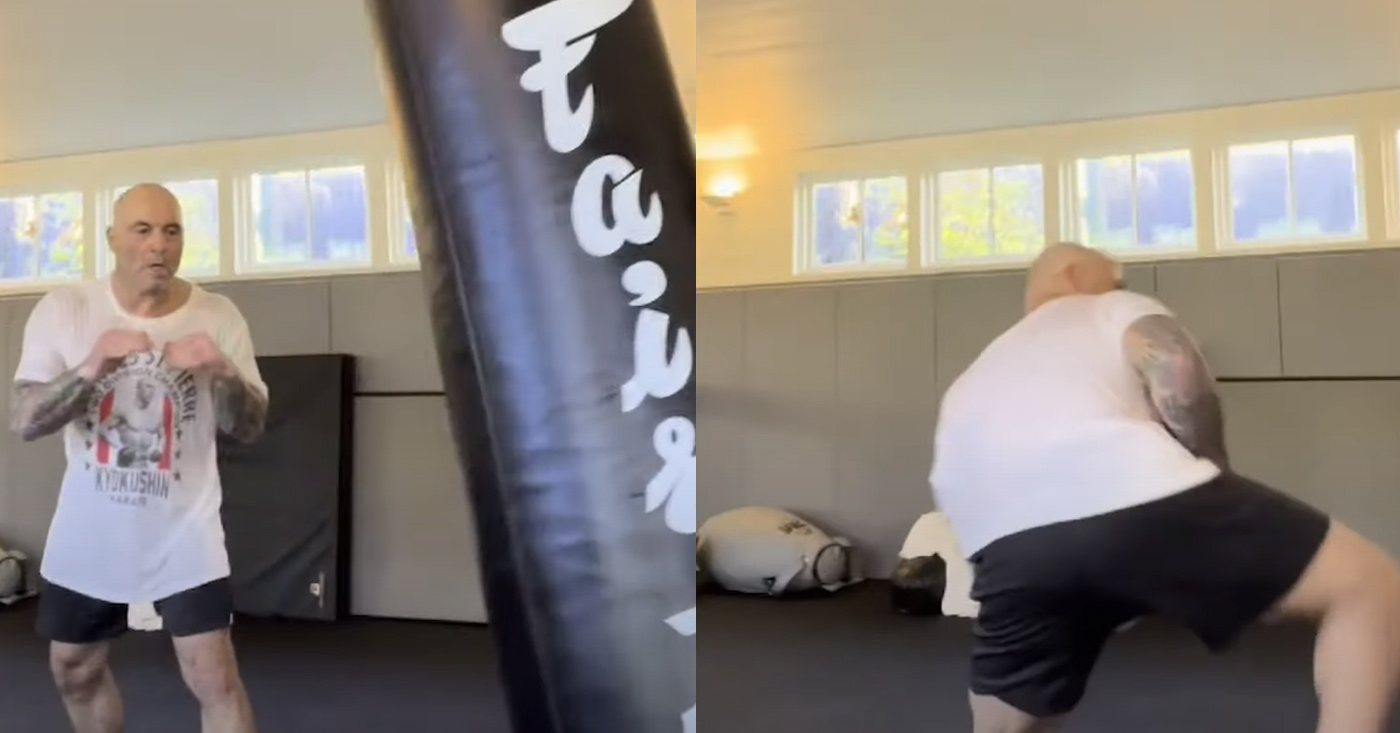 (Video) Joe Rogan Goes HAM On Heavy Bag With Spin Kicks