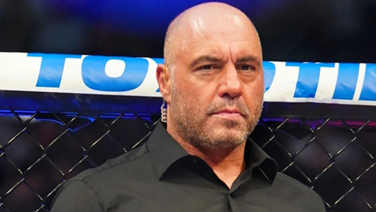 Joe Rogan Shares How MMA Judging Should be Fixed