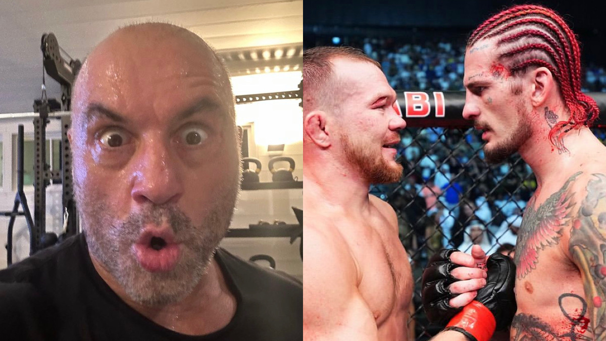 Joe Rogan Talks Judging In Sean O'Malley vs. Petr Yan: 'MMA Needs A ...