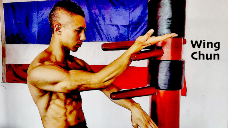 The Wing Chun Dummy: Origins, Features, Types, and More | MiddleEasy