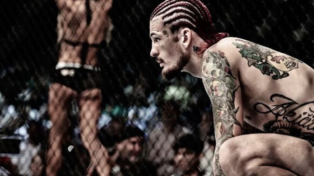 Sean O’Malley Predicts Aljamain Sterling Will Choke ‘Fat Drunk’ Henry ...