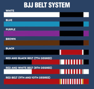 Brazilian Jiu-Jitsu Belt System: The Journey to Black Belt | MiddleEasy