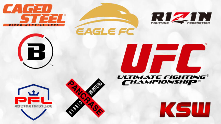Top 14 Best MMA Organizations (Promotions) In The World | MiddleEasy
