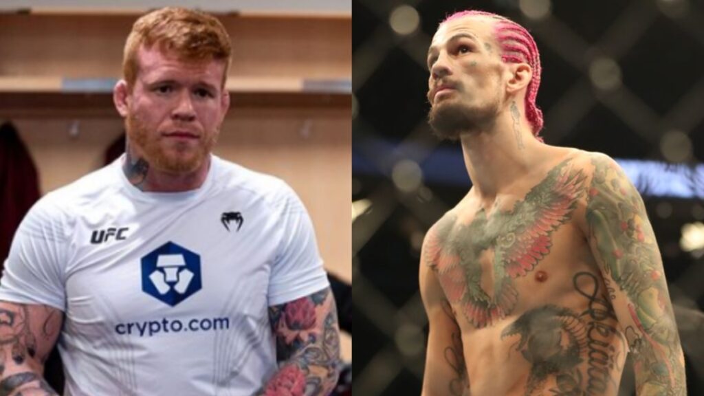 Sean O'Malley Coach Tim Welch Believes the UFC Wants to See 'Sugar ...