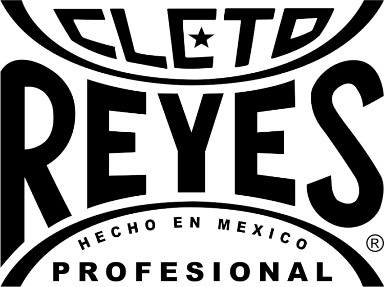 Best Boxing Brands to Punch Up Your Game | MiddleEasy