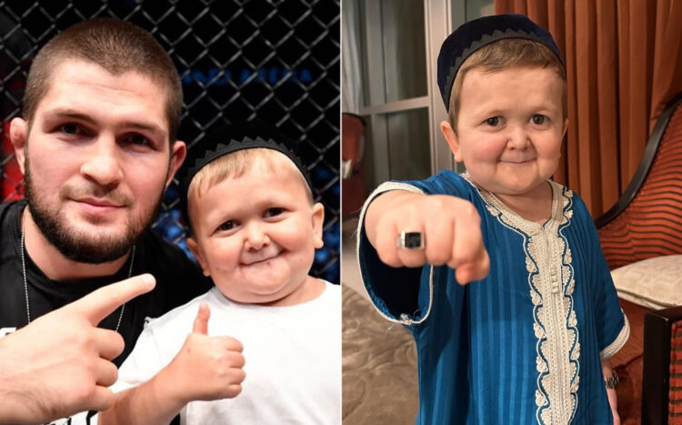 Meet Hasbulla Magomedov, the Internet's Favorite Tiny Fighter | MiddleEasy