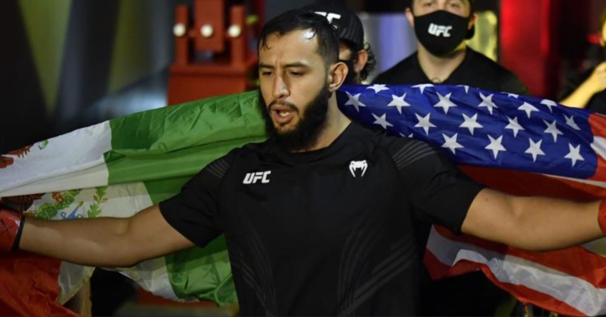 UFC star Dominick Reyes Given 'Clean Bill of Health' After Facing Life ...