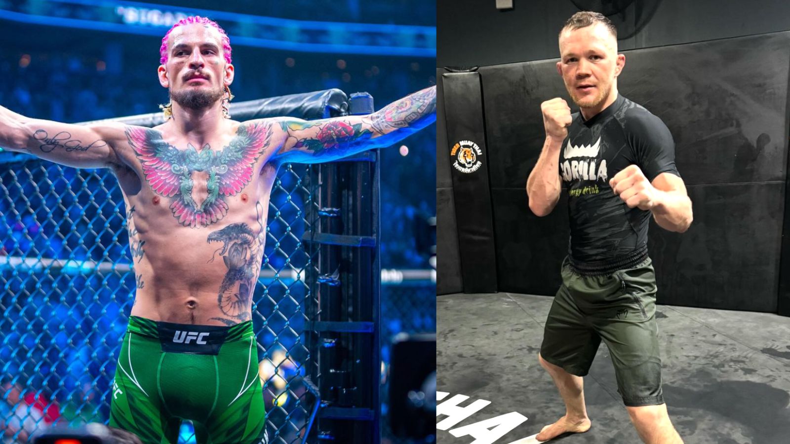 Petr Yan Says He Would've Fought Sean O'Malley At UFC 299 Presser ...