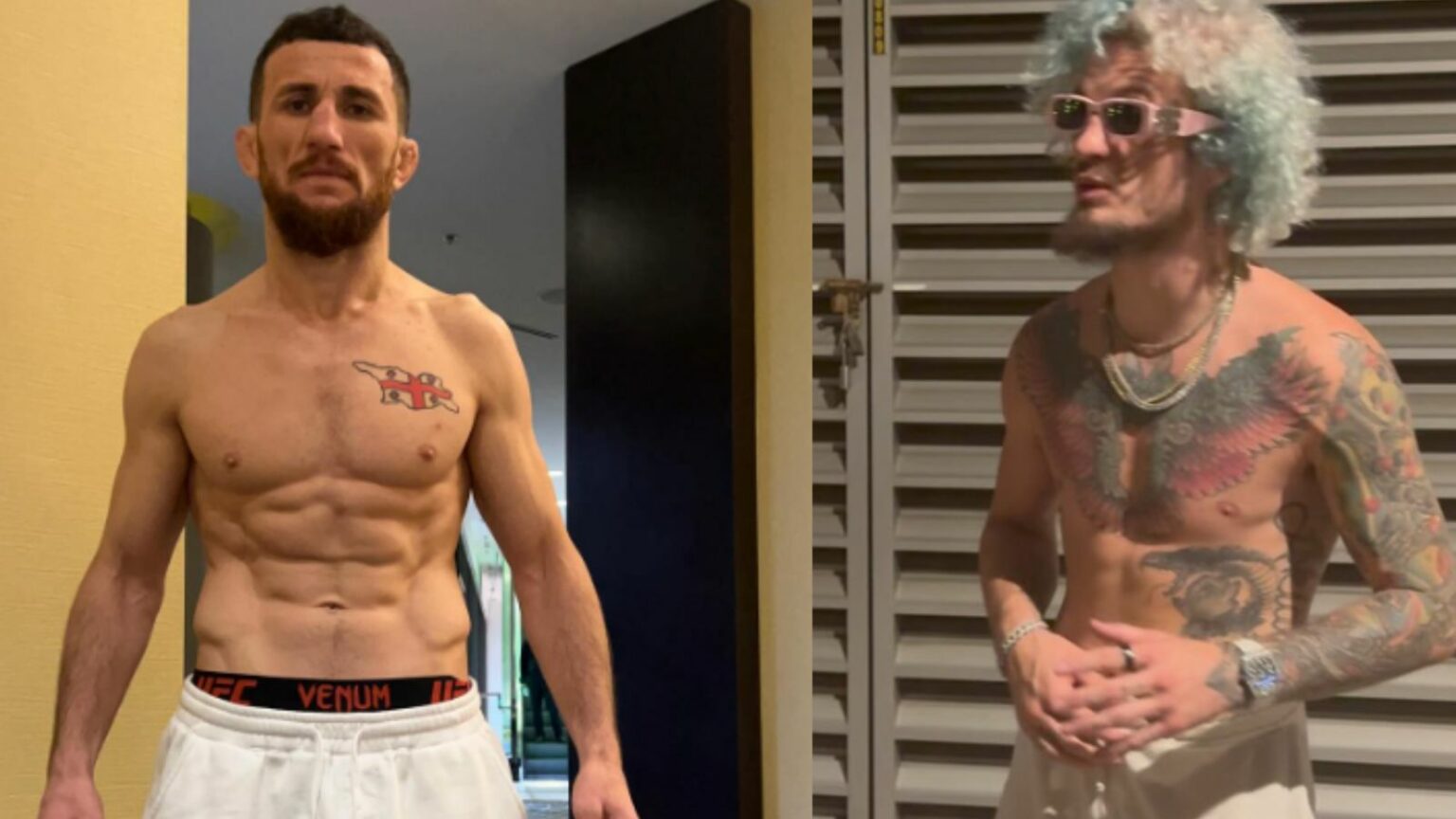 Sean O'Malley Disagrees with Merab Dvalishvili's Claim of Title Bout at ...