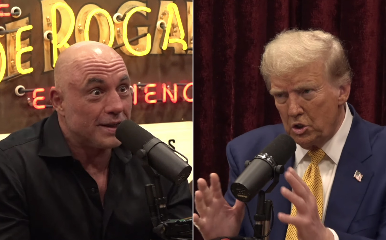 Joe Rogan and Donald Trump Discuss UFC Fighter Safety and the Dangers ...