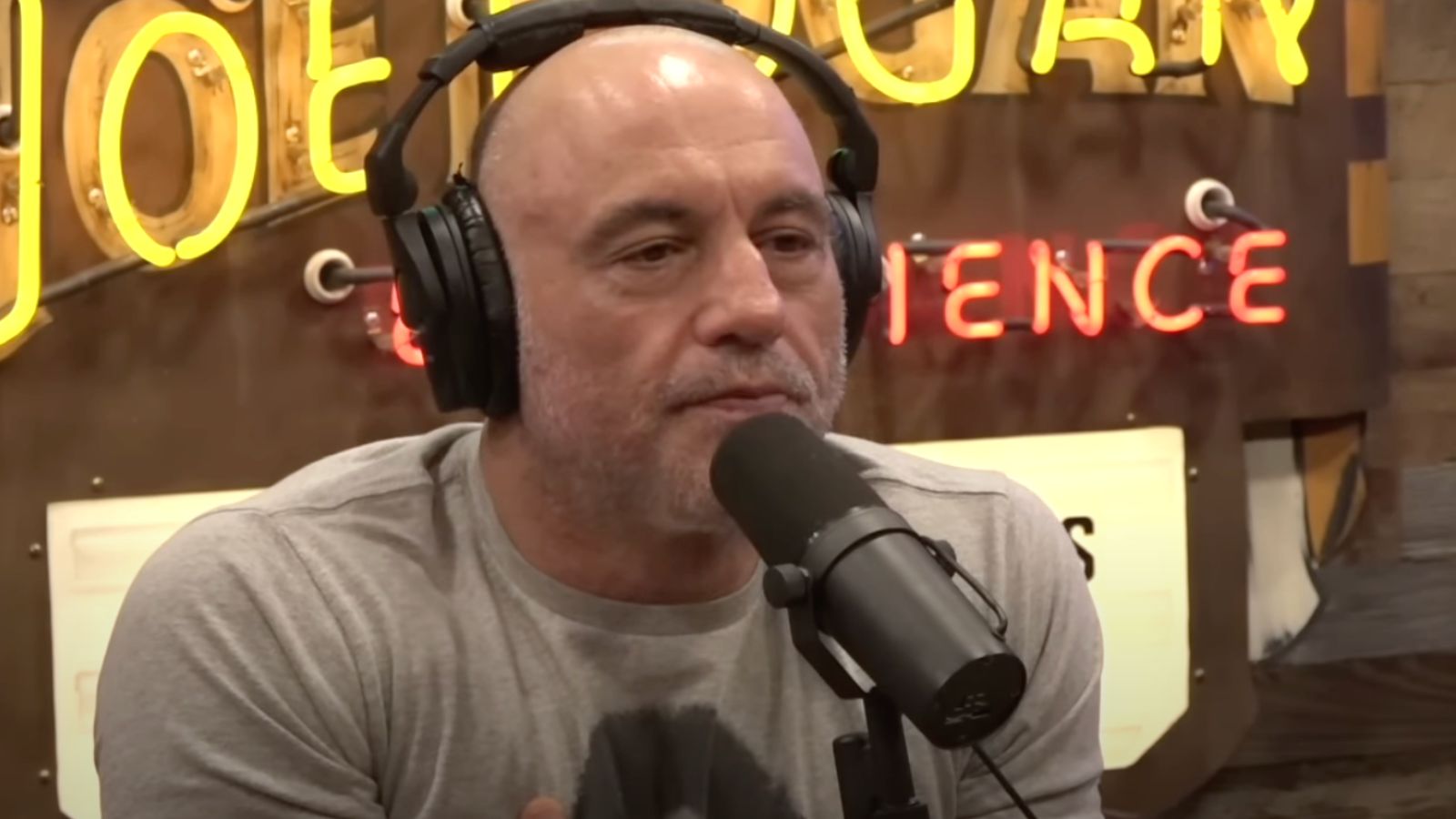 Joe Rogan Eyes New Role as Elon Musk Sets Sights on MSNBC Purchase: 'I ...