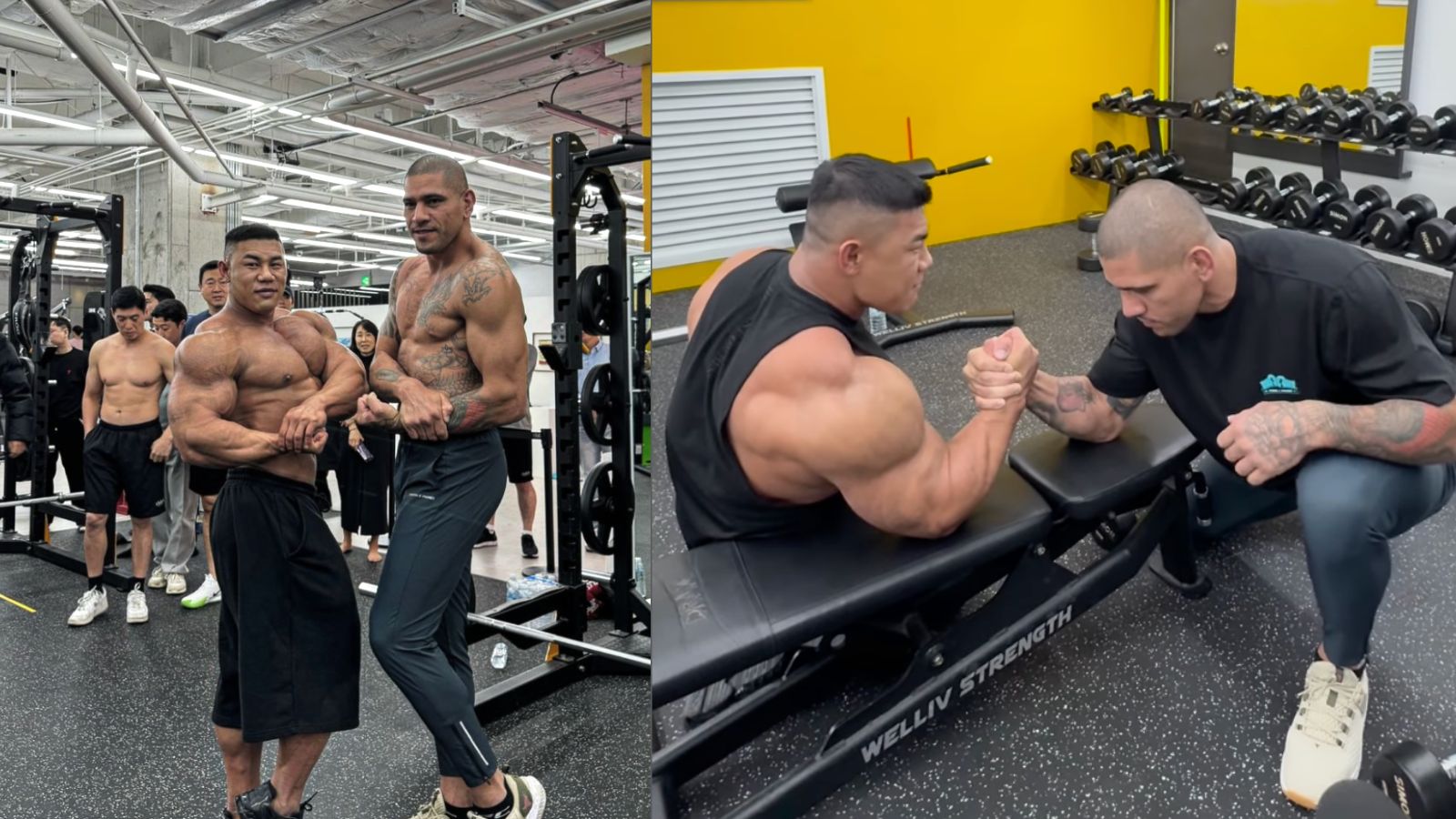 Alex Pereira Gives Reality Check to Huge Bodybuilder in Intense Arm ...