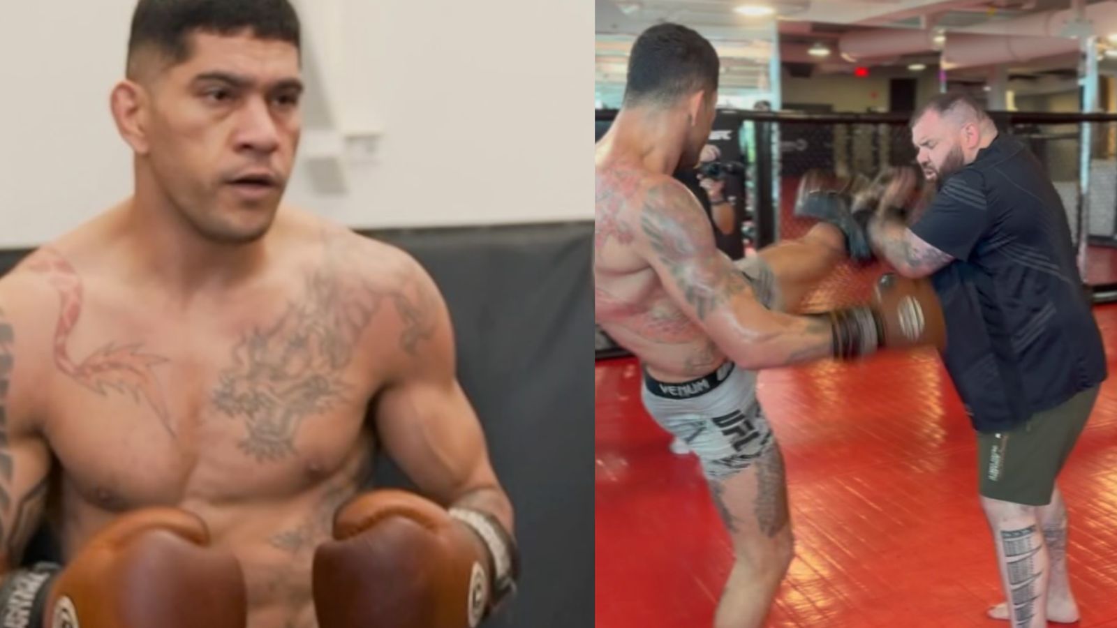 Inside the Fighting Style of Alex Pereira: A Guide to Poatan’s ...