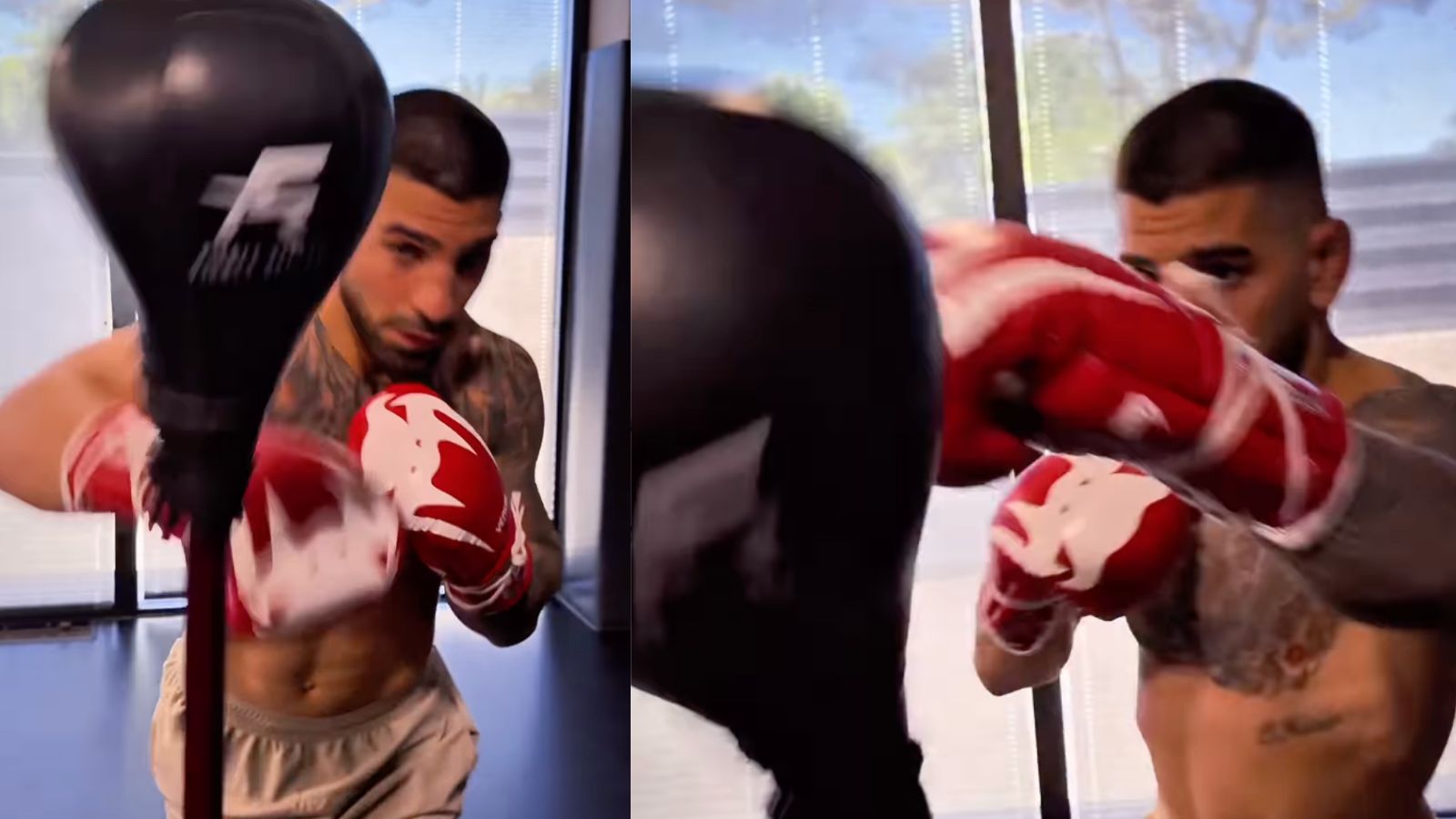 Video: Ilia Topuria Looks Huge at Lightweight Ahead of UFC 317, Fans ...