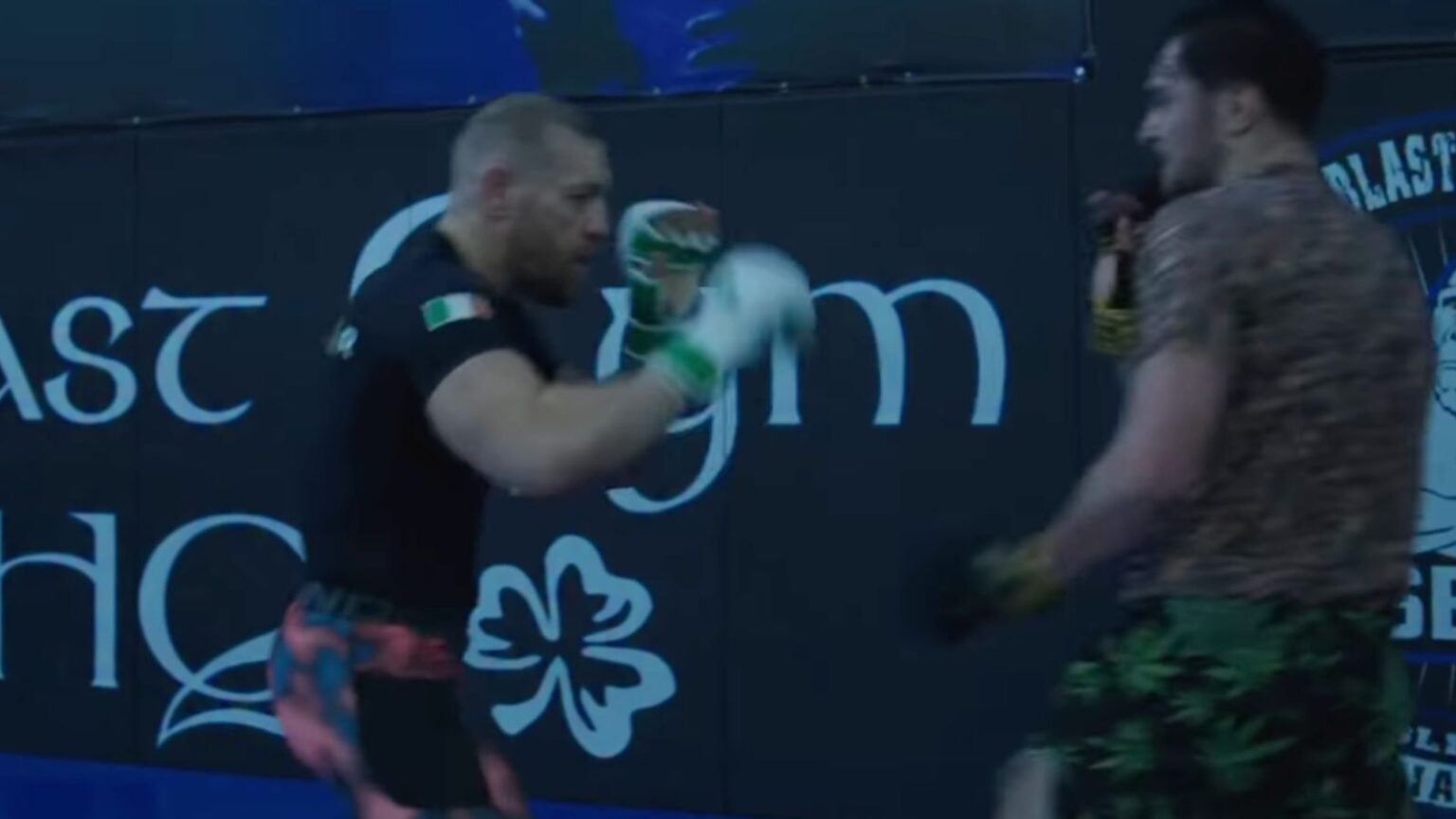 Chael Sonnen Says UFC Would Give Conor McGregor 'A Real Guy' if He ...