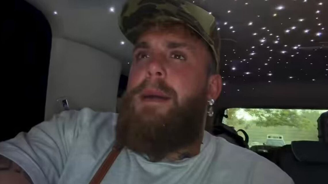 Jake Paul Says Ronda Rousey’s MVP MMA Payday Is 'A Lot More' Than Ilia ...